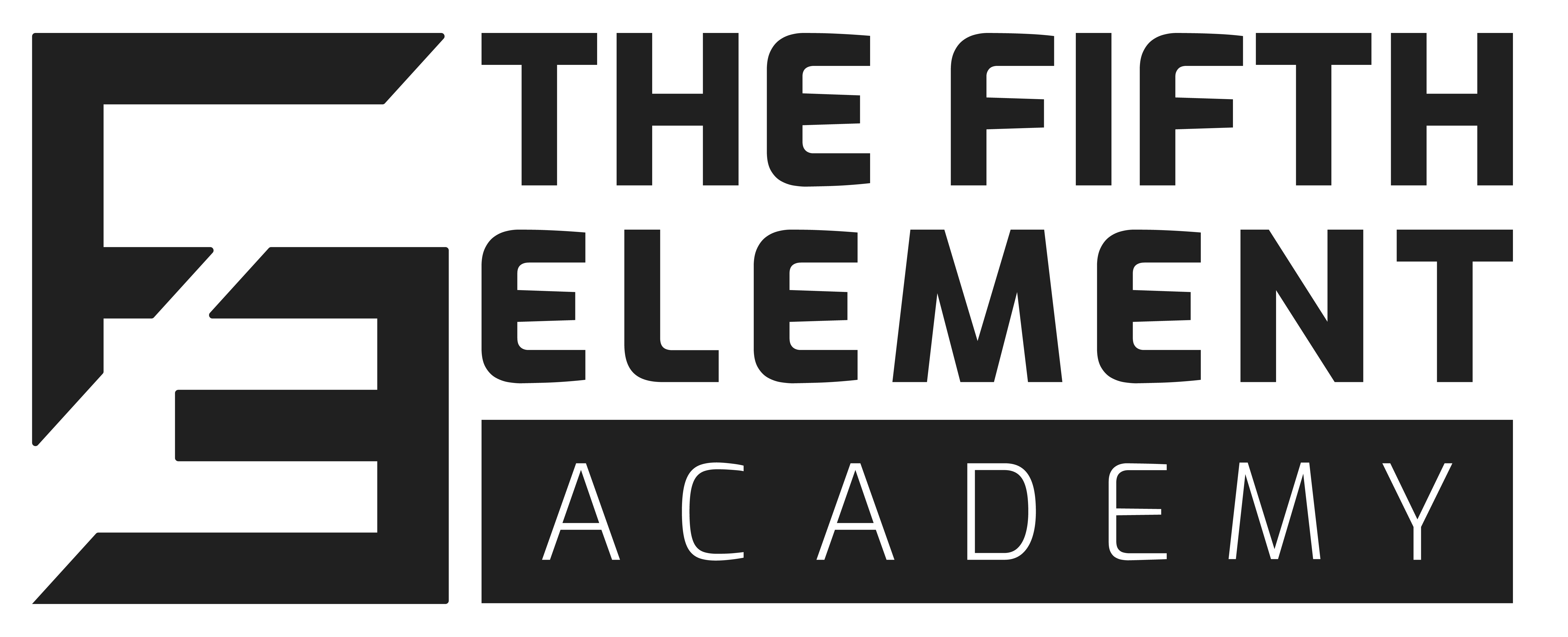 The Fifth Element Academy Maximize Your Career Potential